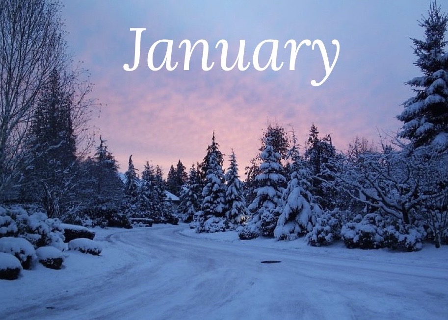 What’s Up, January? – Niles West News